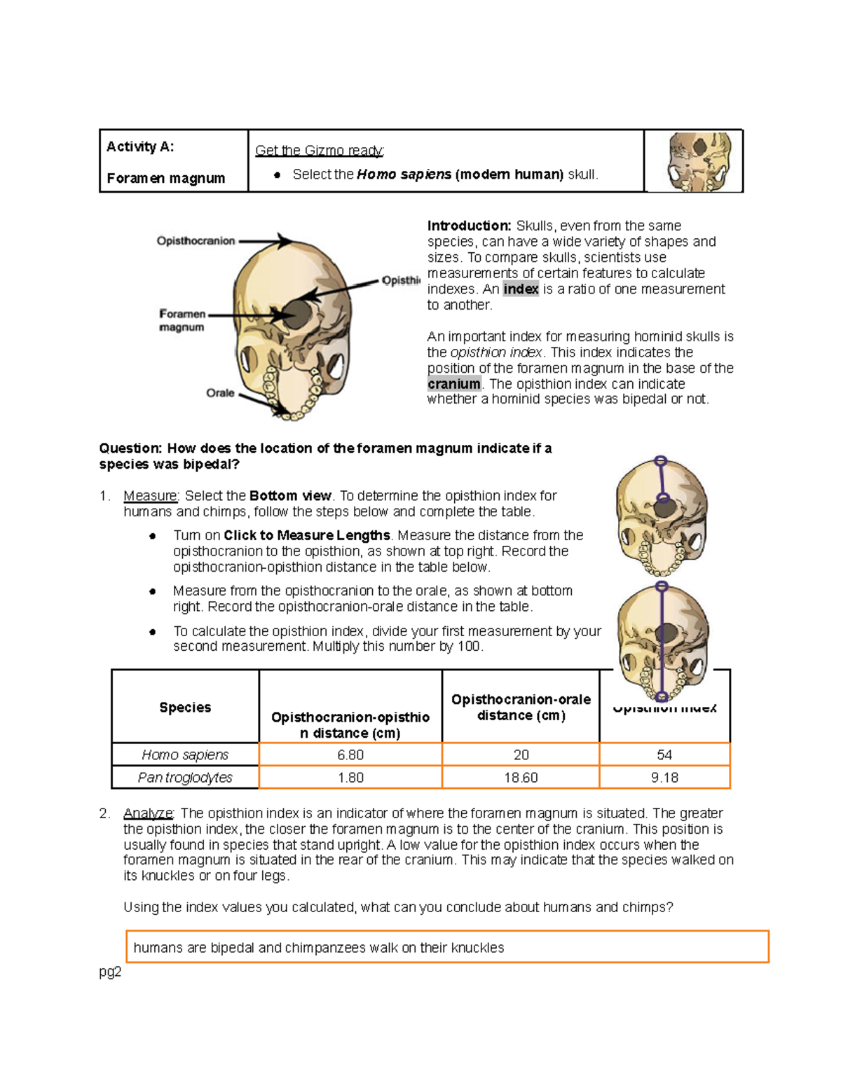 Pg2 - Unit 8 Lab 3 gizmo activity - Activity A: Foramen magnum Get the ...