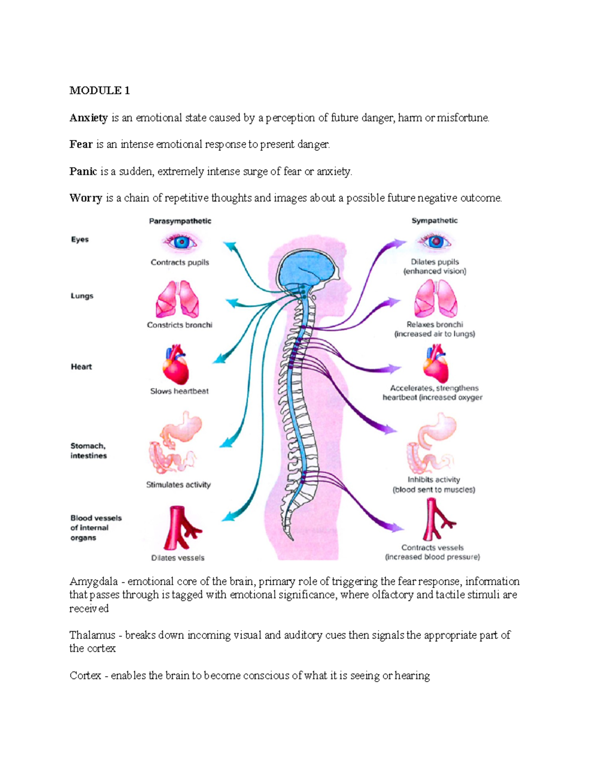 OLET1634 Modules 1-5 - Lecture Notes Module 1-5 - MODULE 1 Anxiety is ...