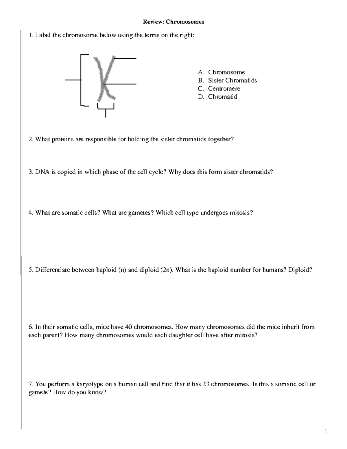 Chromosome Review Activity - 1 1. Label the chromosome below using the ...