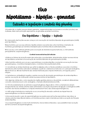 Anatomia do sistema genital masculino - FUNÍCULO ESPERMÁTICO À medida ...