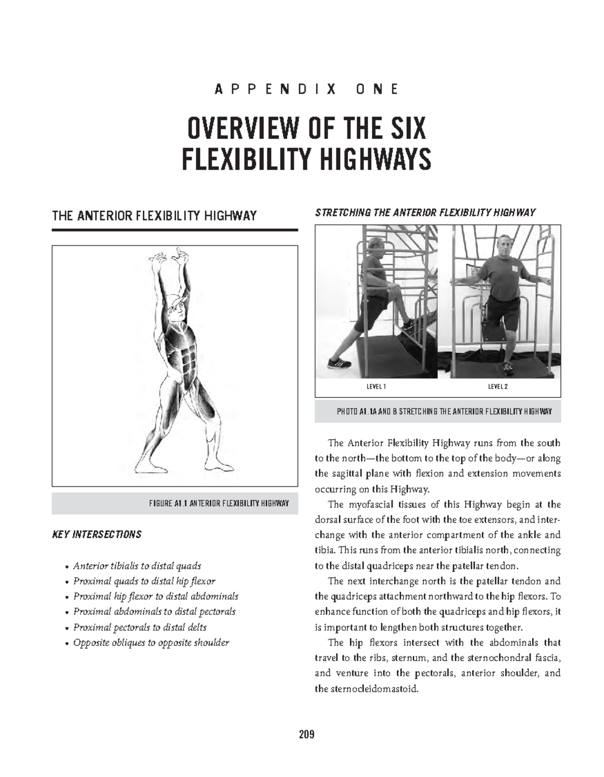 Insights into Functional Training Appendix One - 209 A P P E N D I X O ...