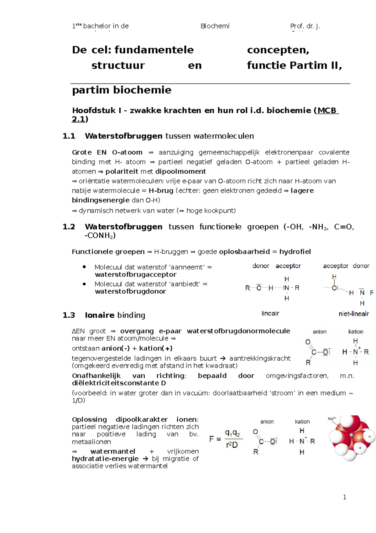 Biochemie - Samenvatting - 1 ste bachelor in de geneeskunde Biochemi e ...