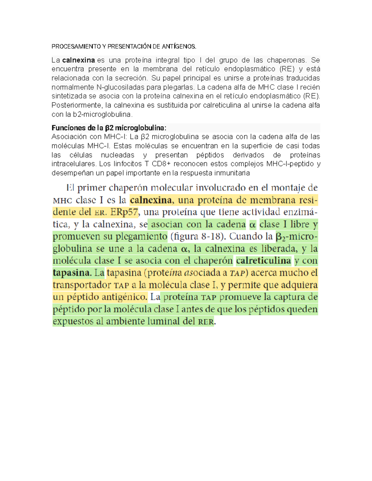 Procesamiento Y Presentación DE Antígenos - PROCESAMIENTO Y ...
