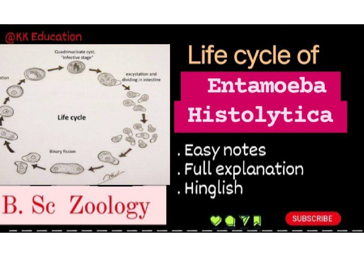 Life cycle (E. histolytica) - Education Quadrinucleate cyst, Life cycle ...