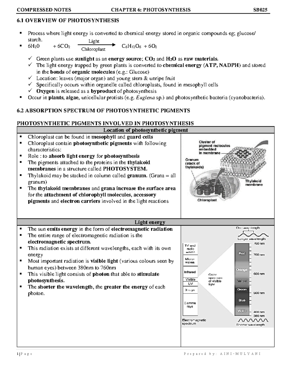 6 compressed notes photosynthesis - Light Chloroplast 6 OVERVIEW OF ...