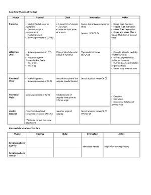 Manual Muscle Testing - mmt practical - MANUAL MUSCLE TESTING (MMT ...