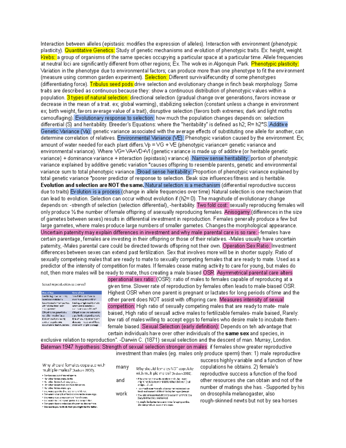 Midterm Cheat Sheet - Interaction between alleles (epistasis: modifies the expression of alleles ...