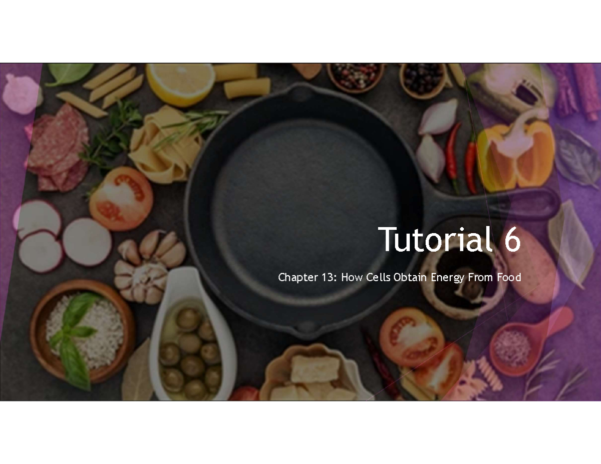 Tutorial 6 energy from food - Tutorial 6 Chapter 13: How Cells Obtain ...