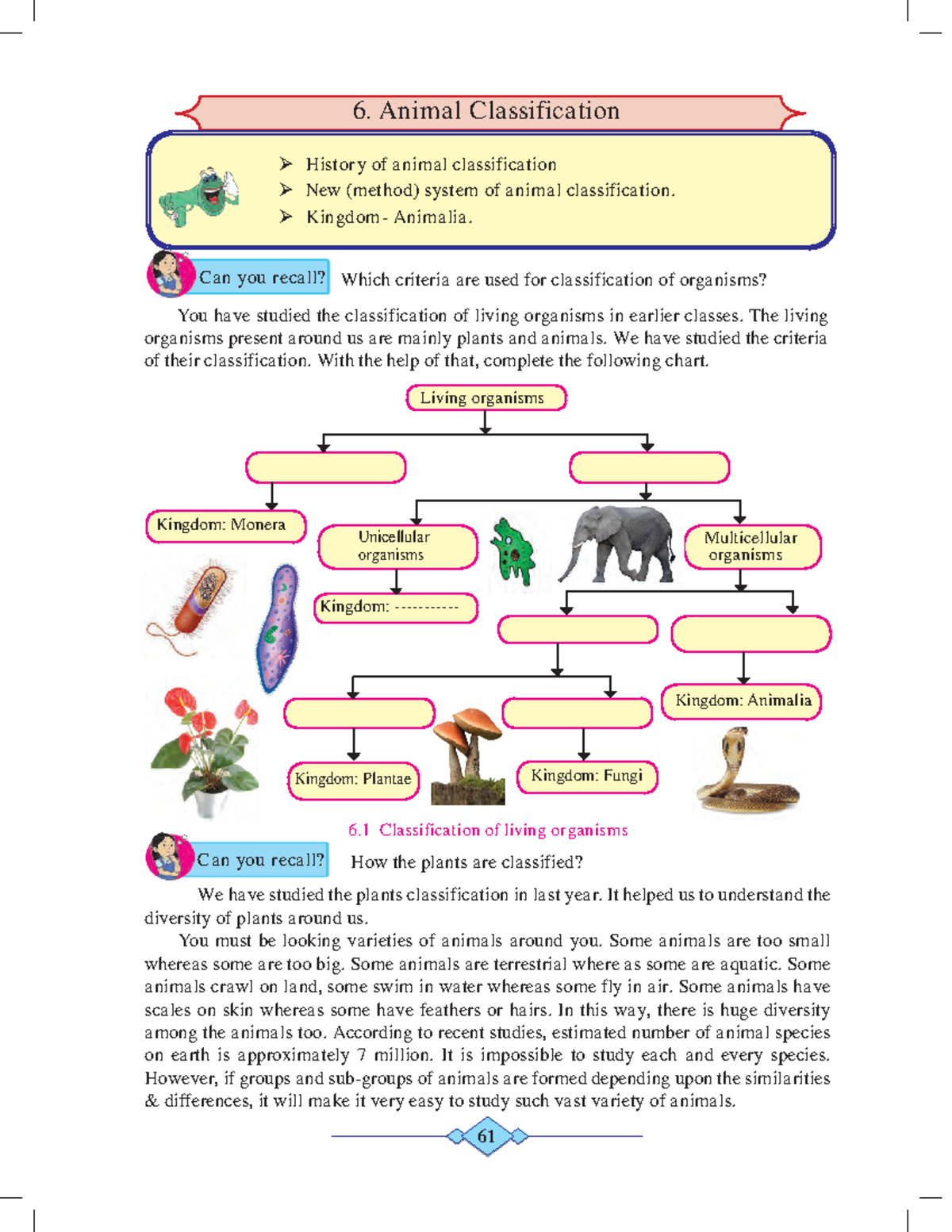 Animal Classification Eng State Board - Which criteria are used for ...
