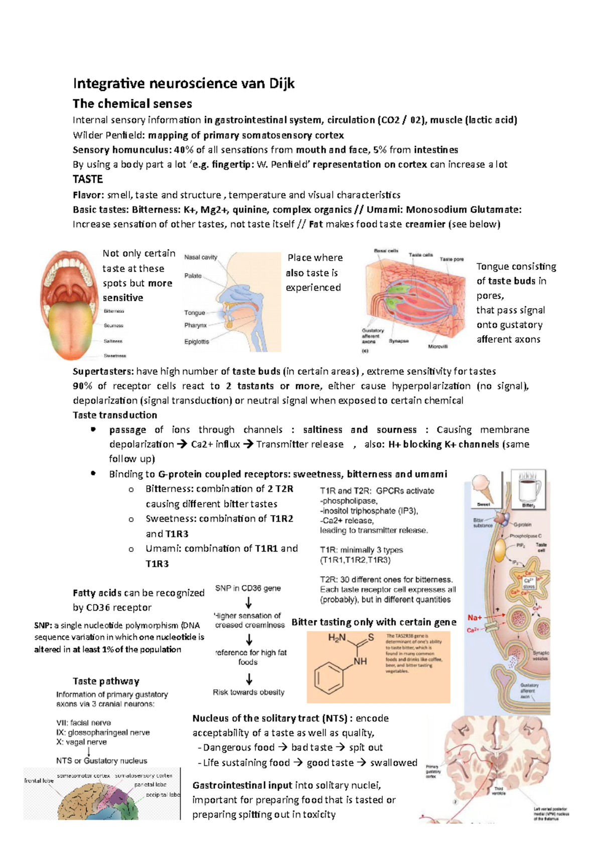 integrative neuroscience second year biology - Integrative neuroscience ...