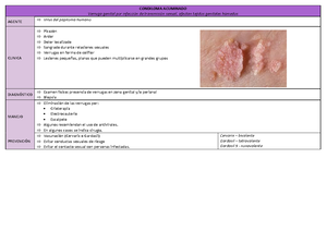 Corioamnionitis-obstetricia - Corioamnioniti Definición Inflamación ...