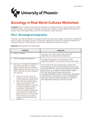 Socialization Mind Map and Reflection Worksheet - SOC/100 v ...