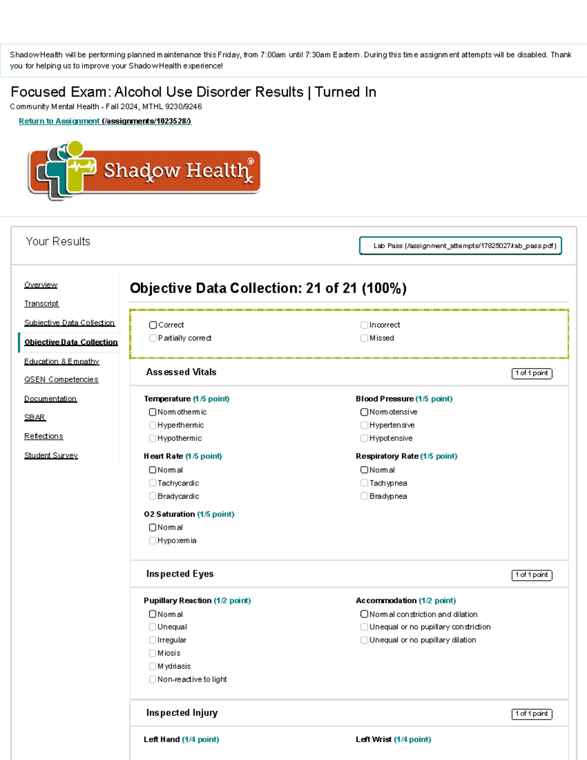 Shadow Health Rachel Adler Objective Data Collection - Focused Exam ...