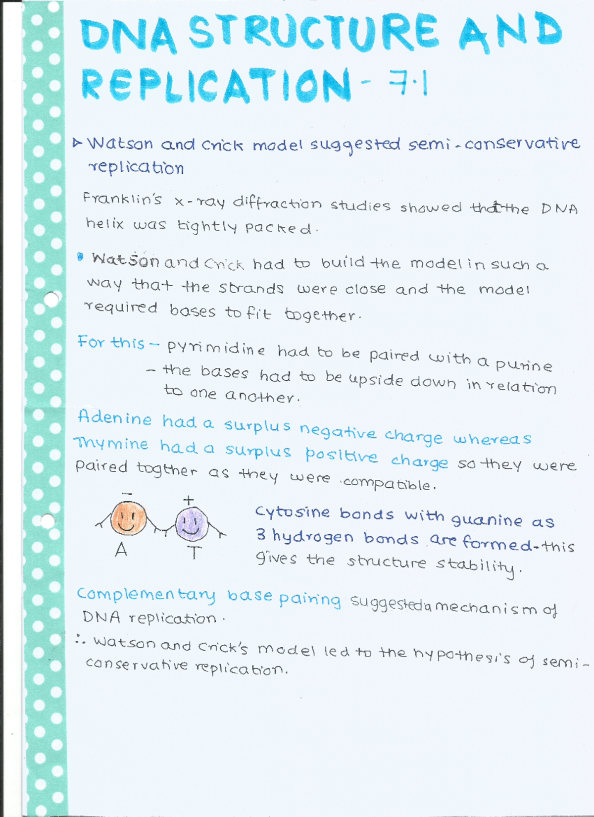 DNA Structure notes - ere DNA STRUCTURE AND REPLICATION: Watson and ...