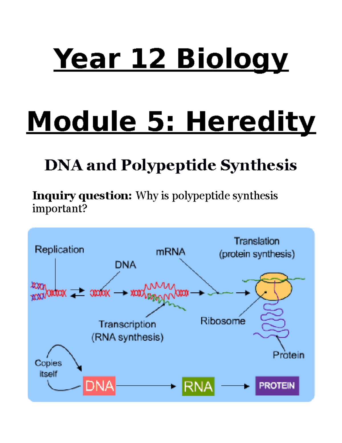 BIO M5 IQ3 Worksheets - Student - Year 12 Biology Module 5: Heredity ...