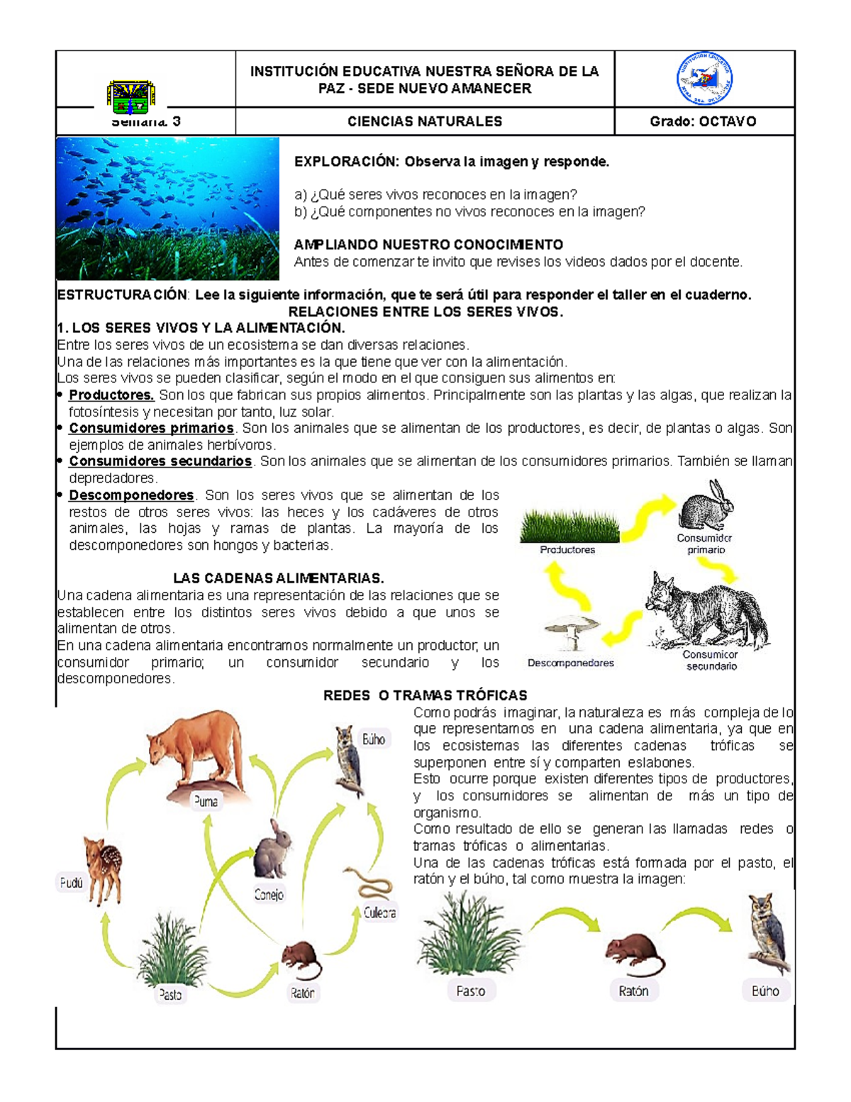 GUIA DE Aprendizaje Ciencia 2 Octavo 1 Periodo - INSTITUCIÓN EDUCATIVA ...