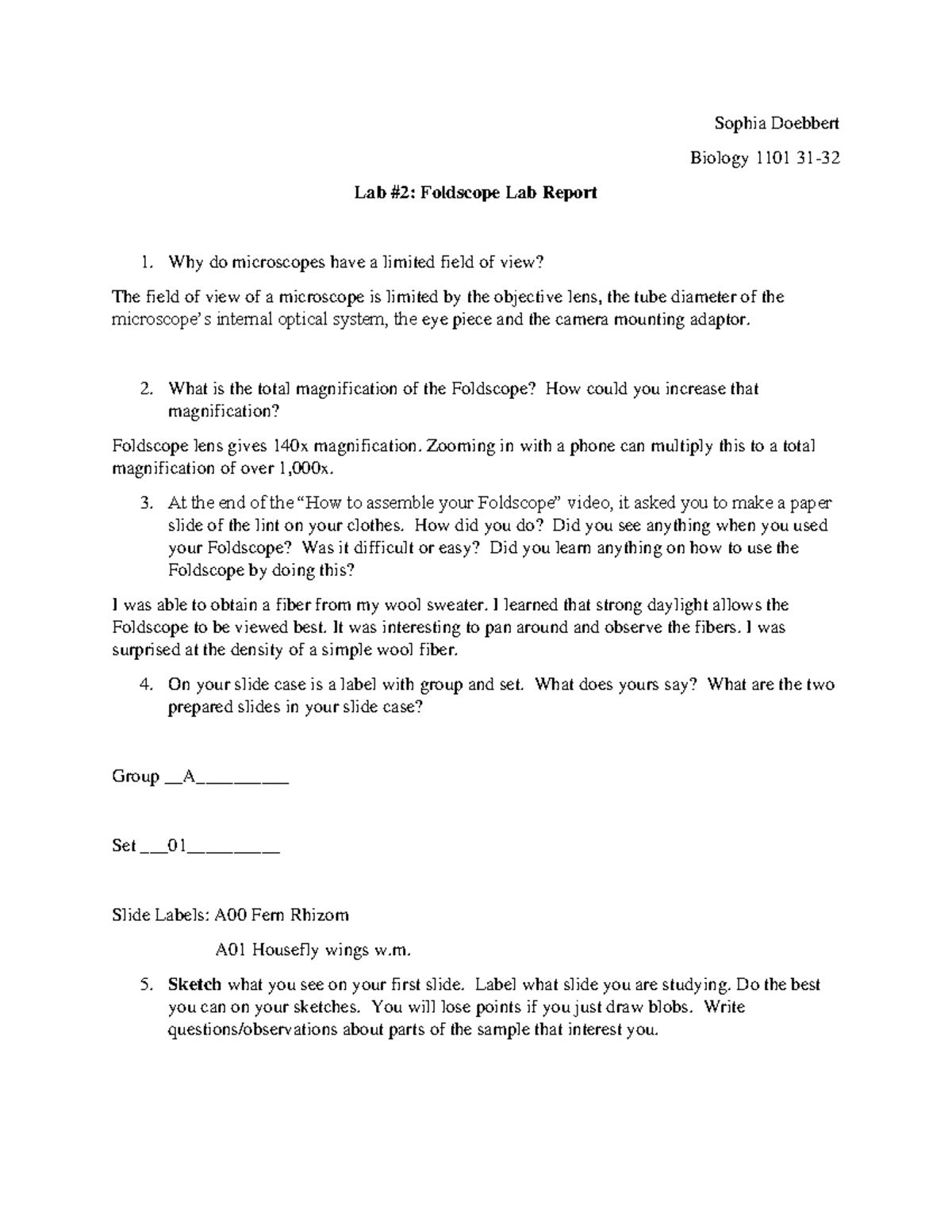 Lab #2 Foldscope Lab Report - Sophia Doebbert Biology 1101 31- Lab #2 ...