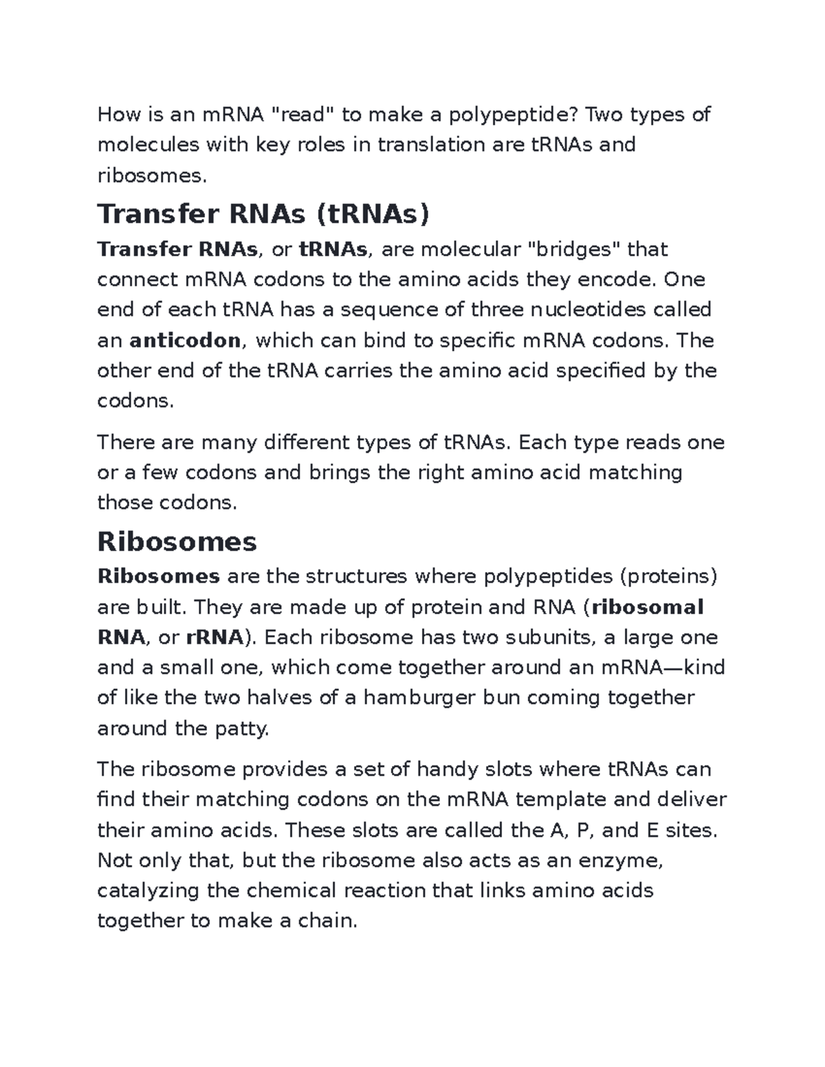 Stages in translation - Lecture notes 3-4 - 17976 - BCU - Studocu