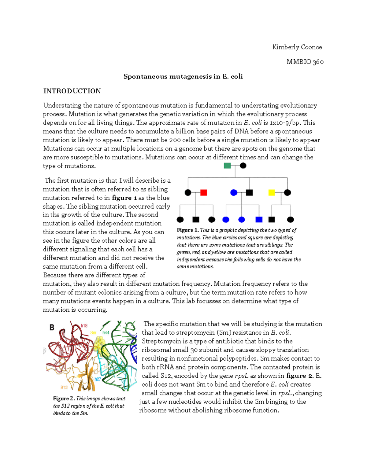 LR1 - lab report - Kimberly Coonce MMBIO 360 Spontaneous mutagenesis in E. coli INTRODUCTION ...