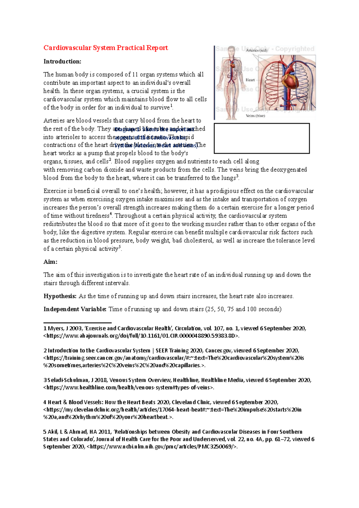 Cardiovascular System Practical Report - Studocu
