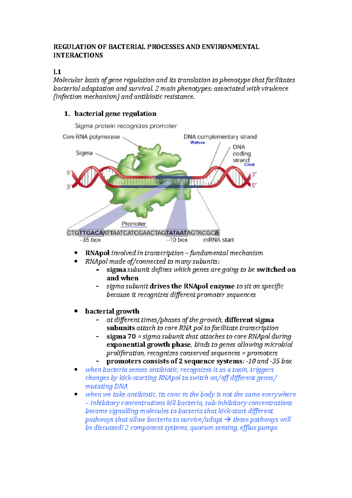 Regulation of bacterial processes and environmental interactions ...