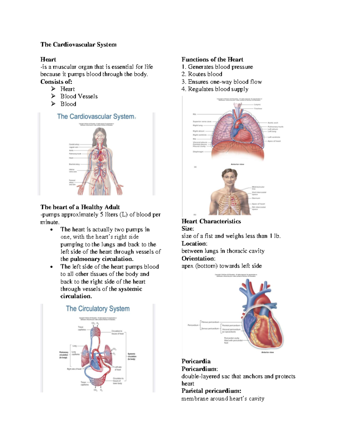 Cardiovascular - Cardio notes anaphy - The Cardiovascular System Heart ...
