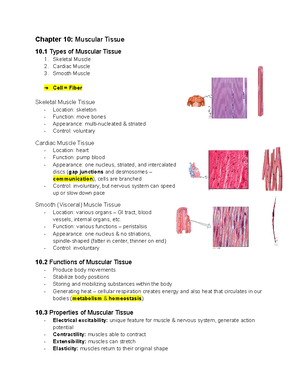 Functions and Structure of Bone - Studocu
