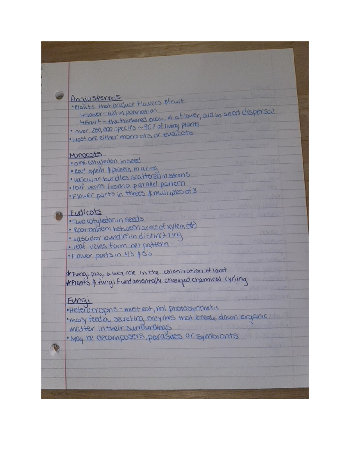 Bio106 plant types notes - BIOL 106 - Studocu