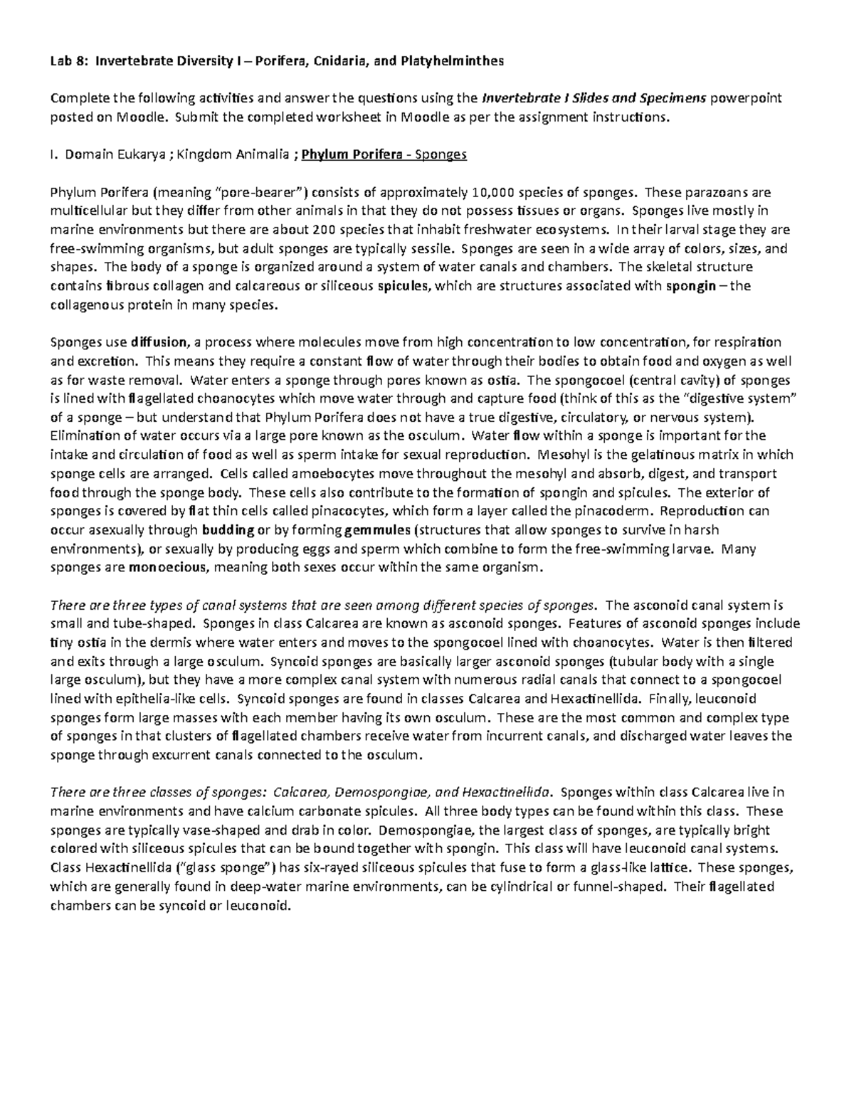 Exercise Invertebrate Diversity I - Lab 8: Invertebrate Diversity I ...