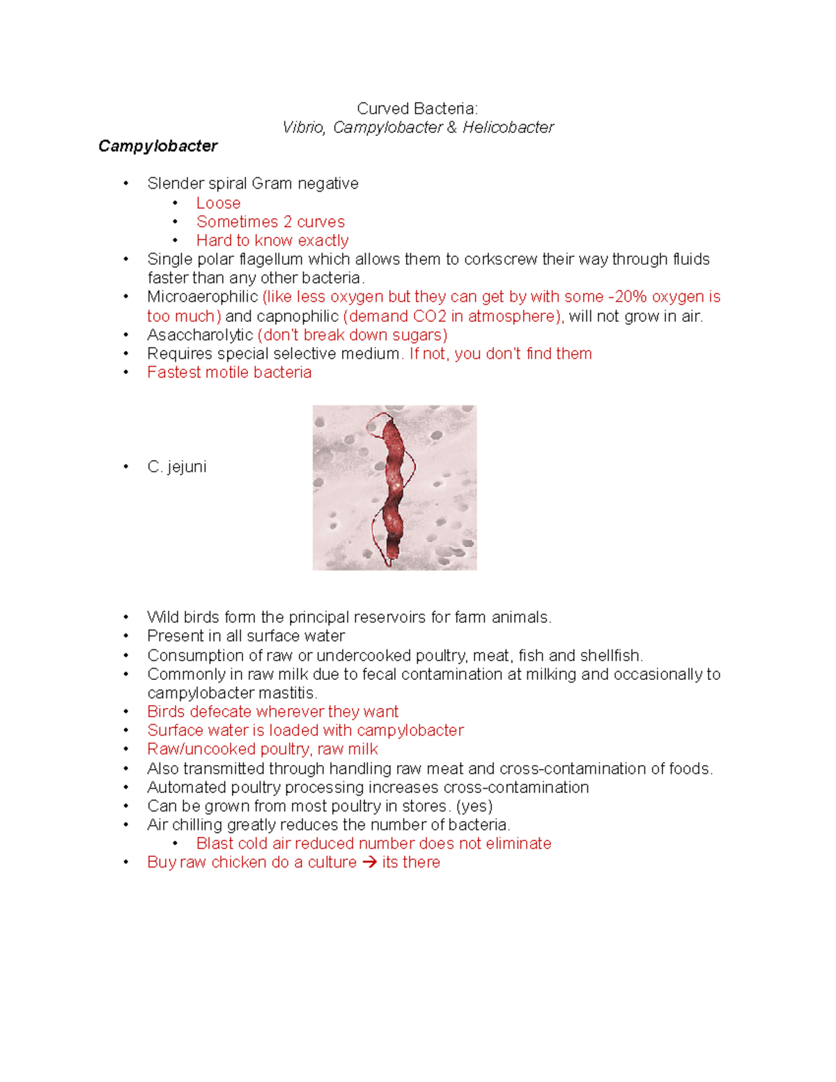 Curved Bacteria - Dr. Colby - Curved Bacteria: Vibrio, Campylobacter ...