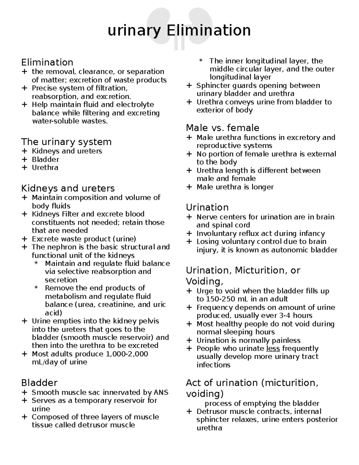 Urinary Elimination Outline - urinary Elimination Elimination + the ...