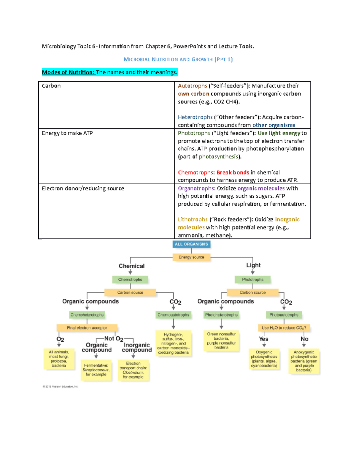Summary Microbiology: with Diseases by Body System Microbial Nutrition ...