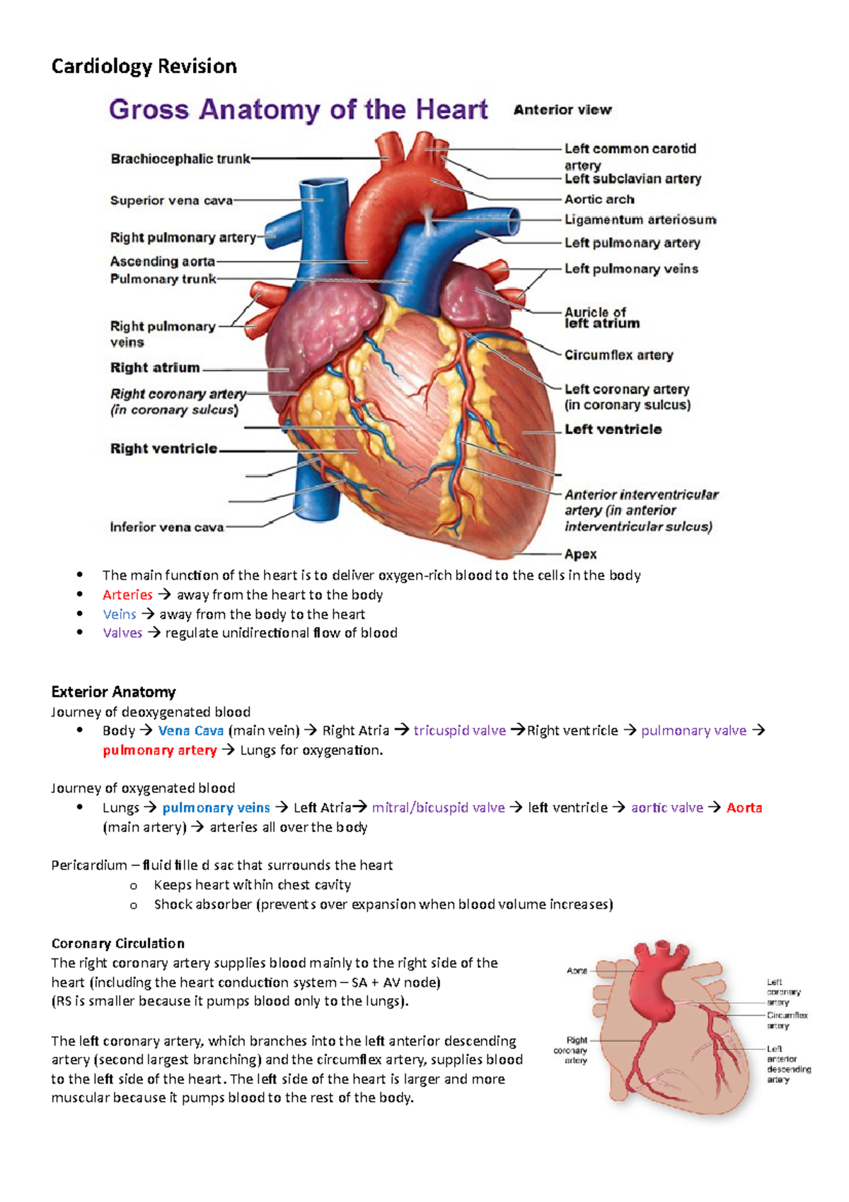 Cardiology Revision - cardio notes - Cardiology Revision The main ...