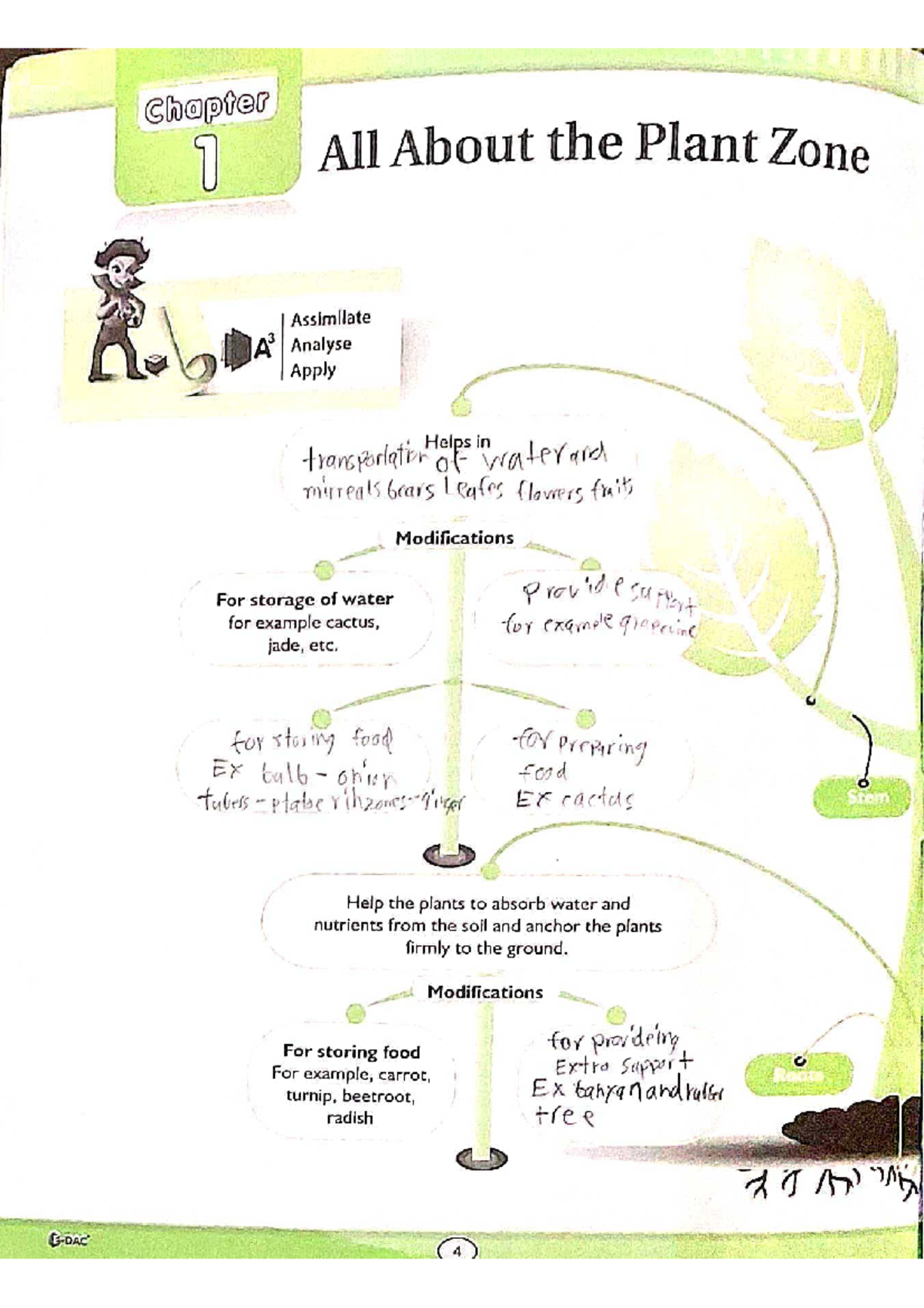 Biology Wrkbk Ch-1 All About the Plant Zone - BSc. life sciences - Studocu