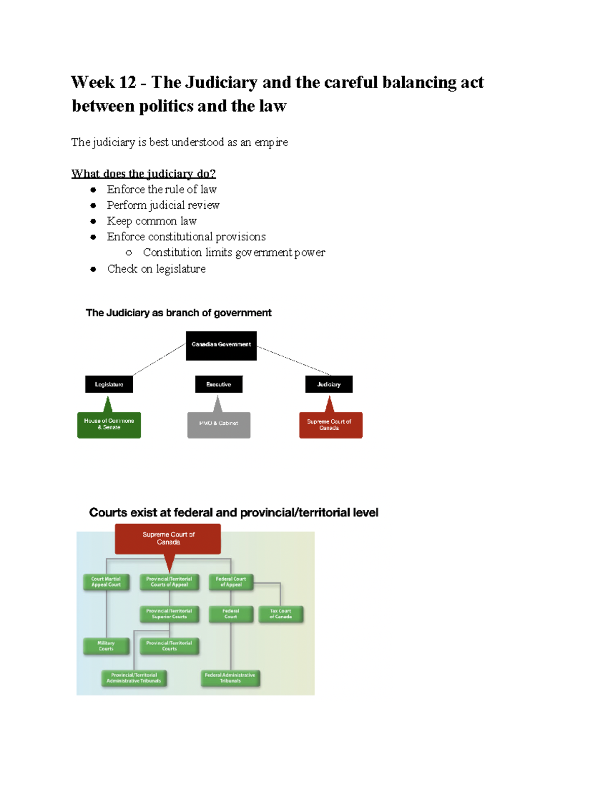 POLS 110 Week 12 Part 1 Notes - Week 12 - The Judiciary and the careful ...