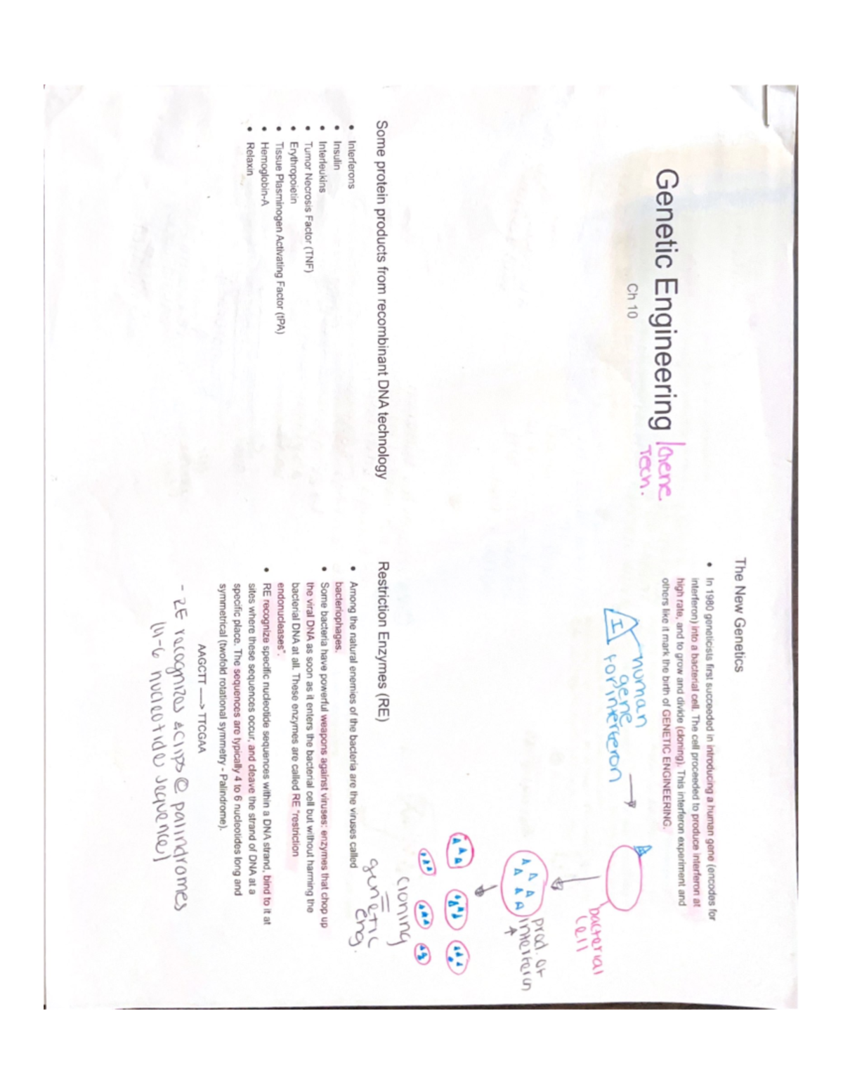 The New Genetics - BIOL 204 - Studocu