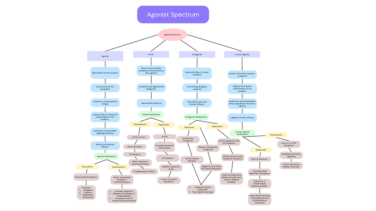 wk1assignment agnoist - Agonist Spectrum Agonist Partial Antagonist ...
