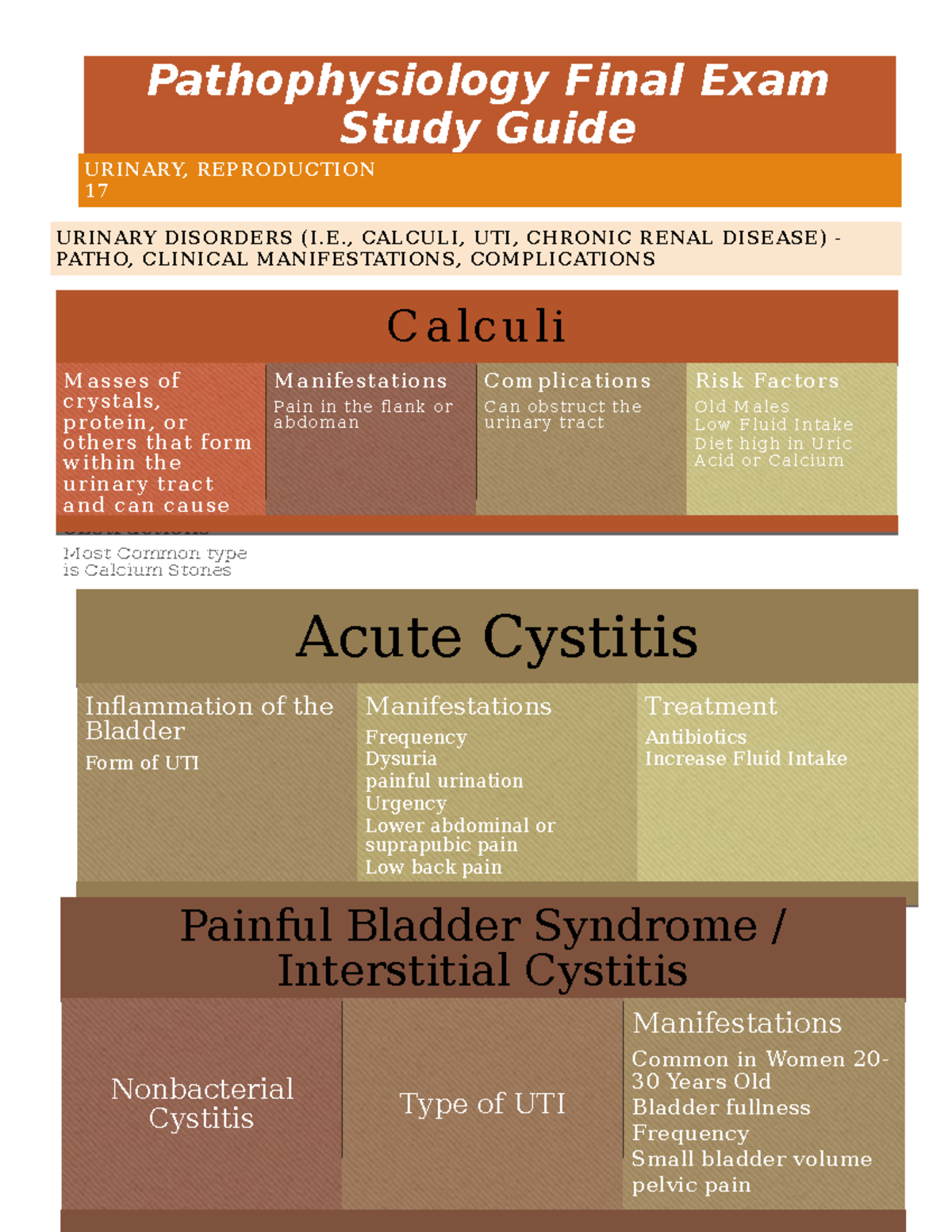 Pathophysiology Final Exam Study Guide - Acute CystitisAcute Cystitis ...