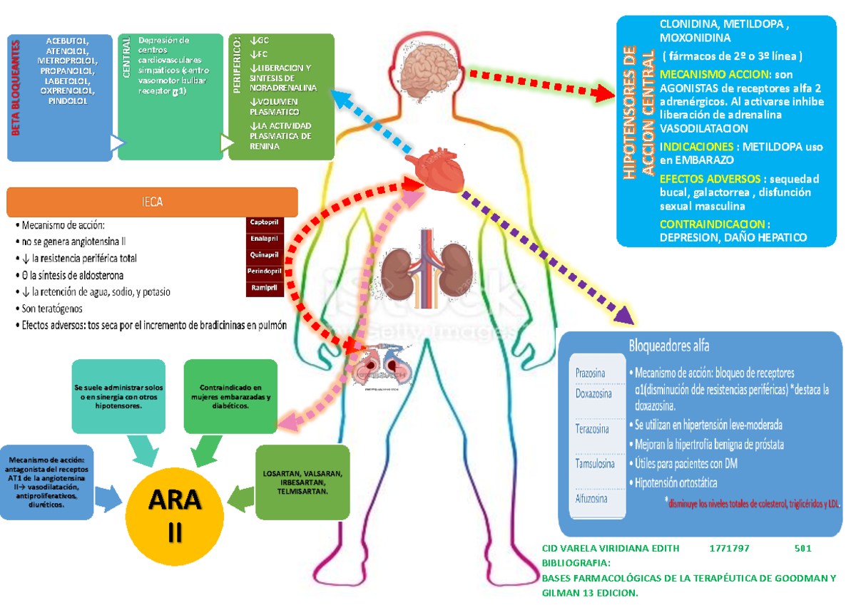 Mapa Hipertensivos - Warning: TT: undefined function: 32 Warning: TT: undefined function: 32 ...