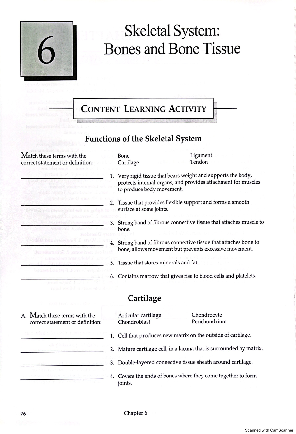 A&P practice questions - Skeletal System: 6 Bones and Bone Tissue ...