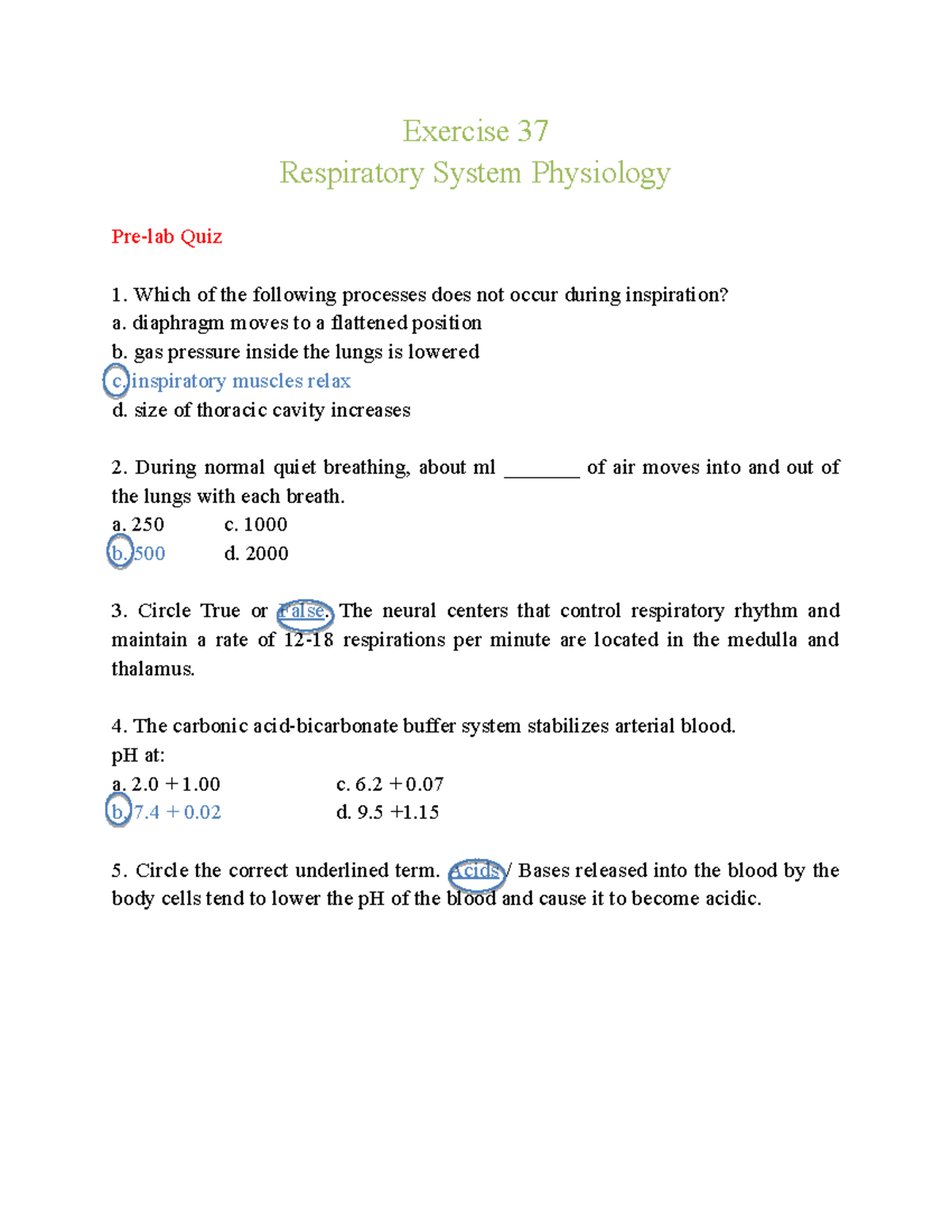 37 Answers - Exercise 37 Respiratory System Physiology Pre-lab Quiz Which of the following ...