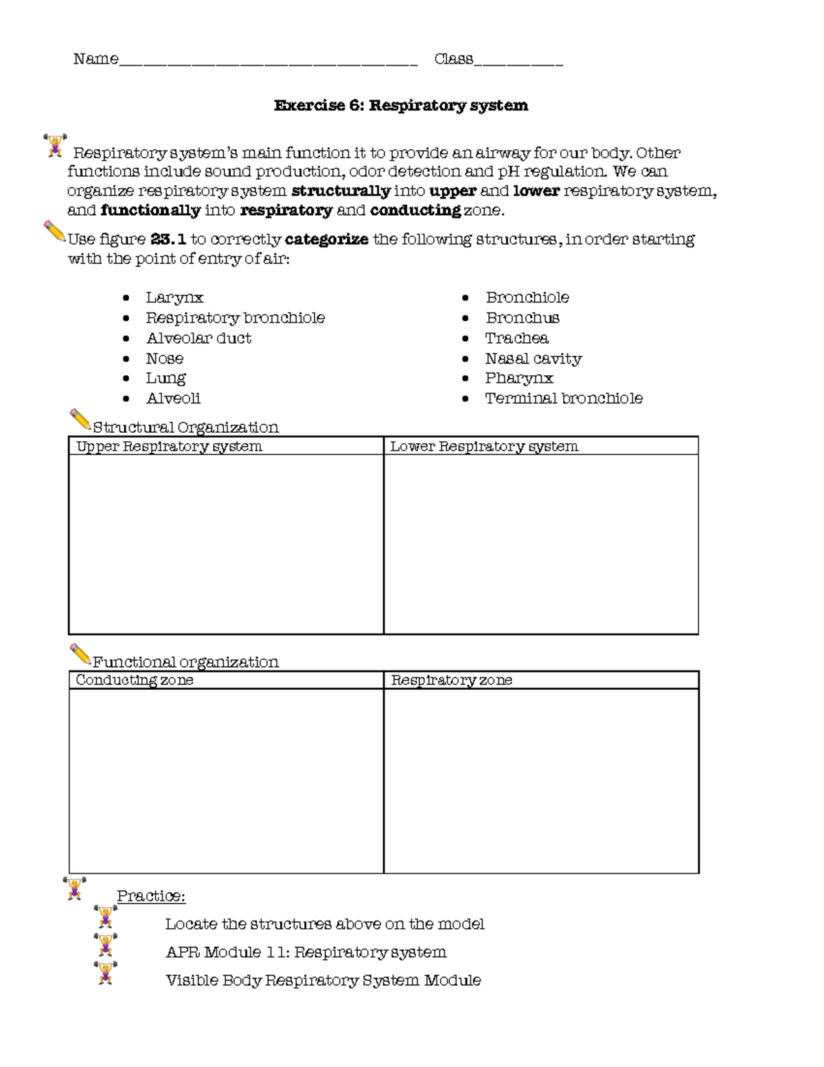Exercise 6 Fall 2022 - respiratory system - Name ...