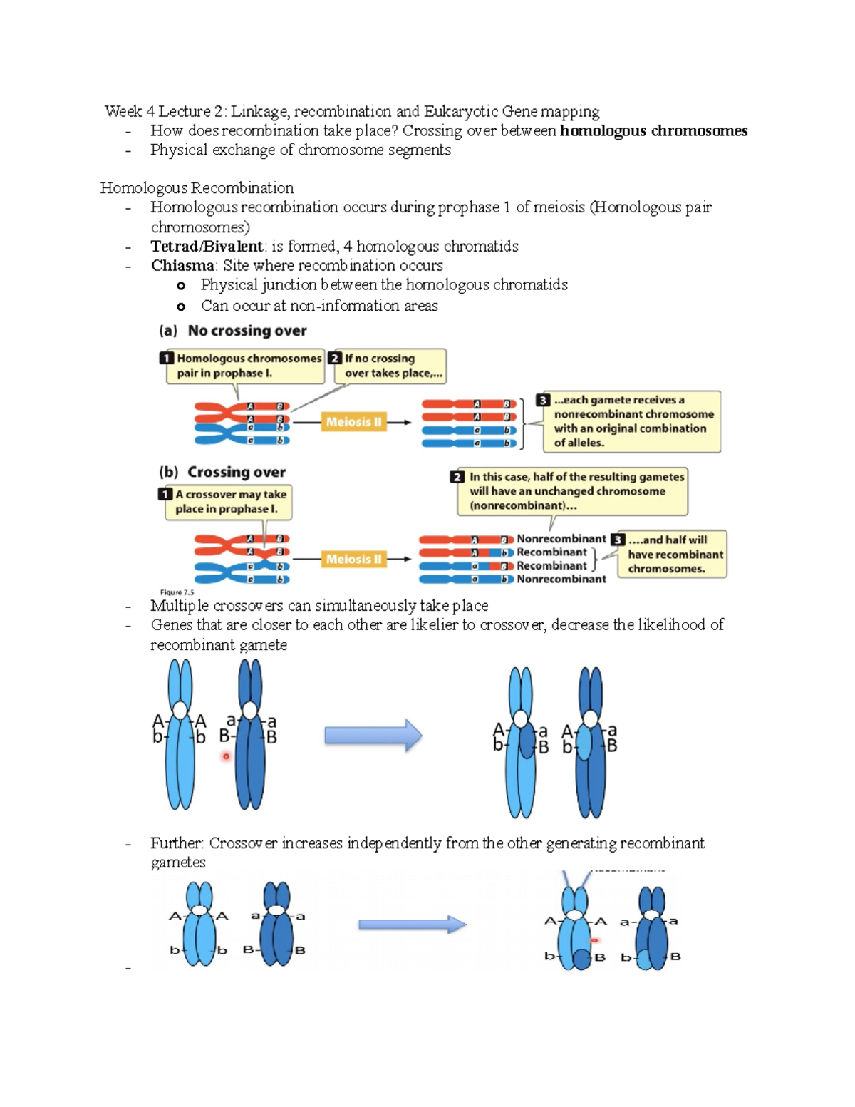 W3 L2 Linkage:Recombination:Gene mapping - Week 4 Lecture 2: Linkage ...