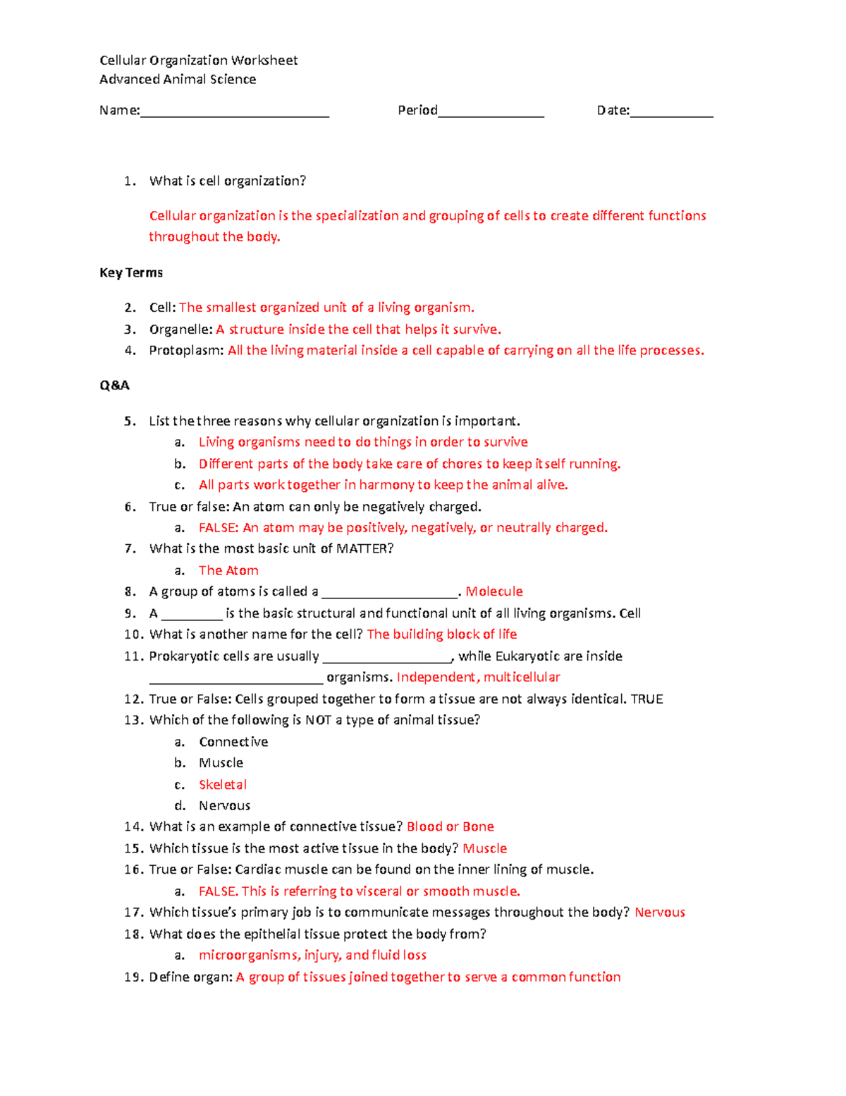 Cell Organization Worksheet - Cellular Organization Worksheet Advanced ...