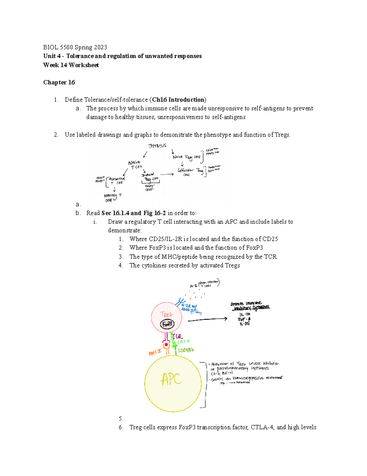 Week 14 Worksheet- Immunology - BIOL 5500 Spring 2023 Unit 4 ...