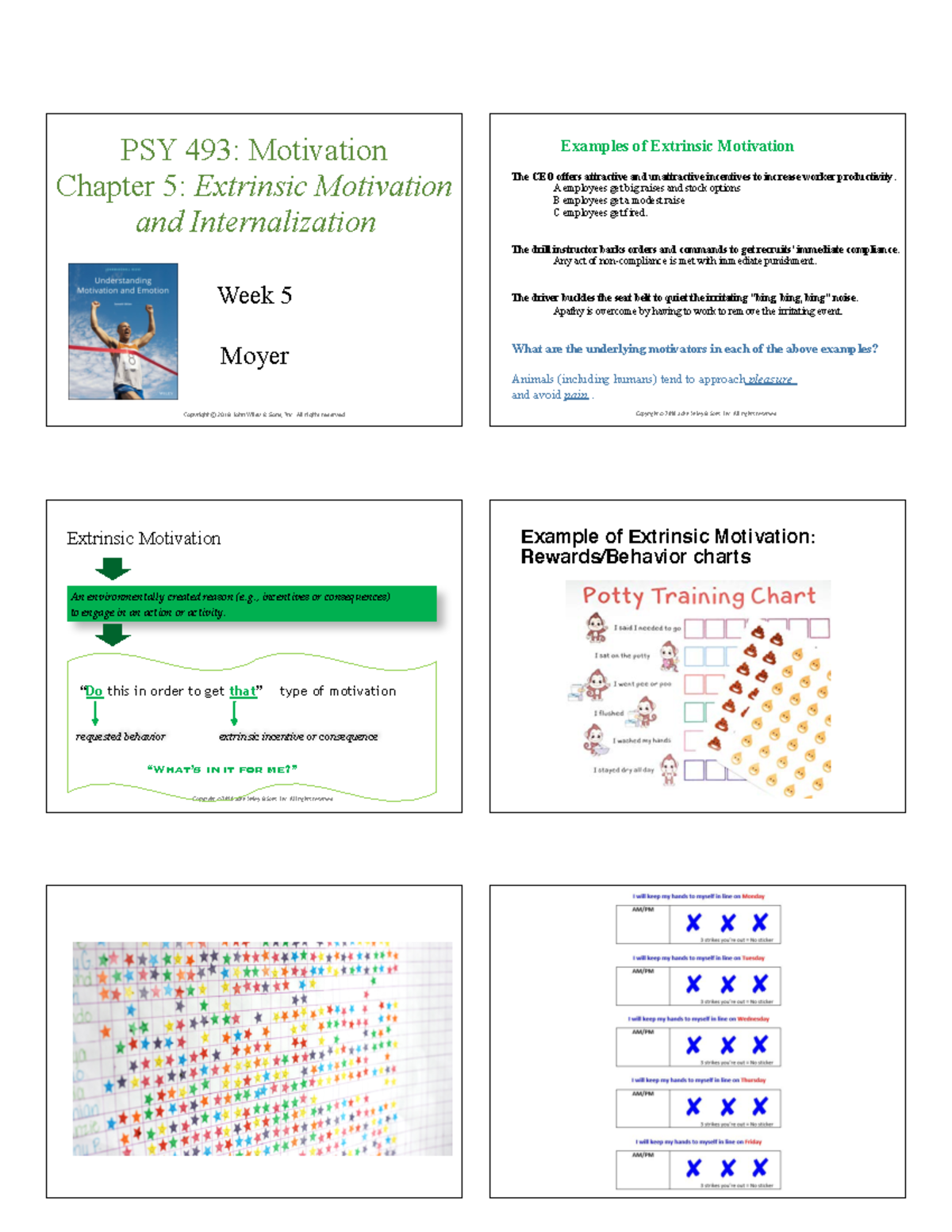 PSY 493 Ch 5 Notes - Extrinsic Motivation and Internalization ...
