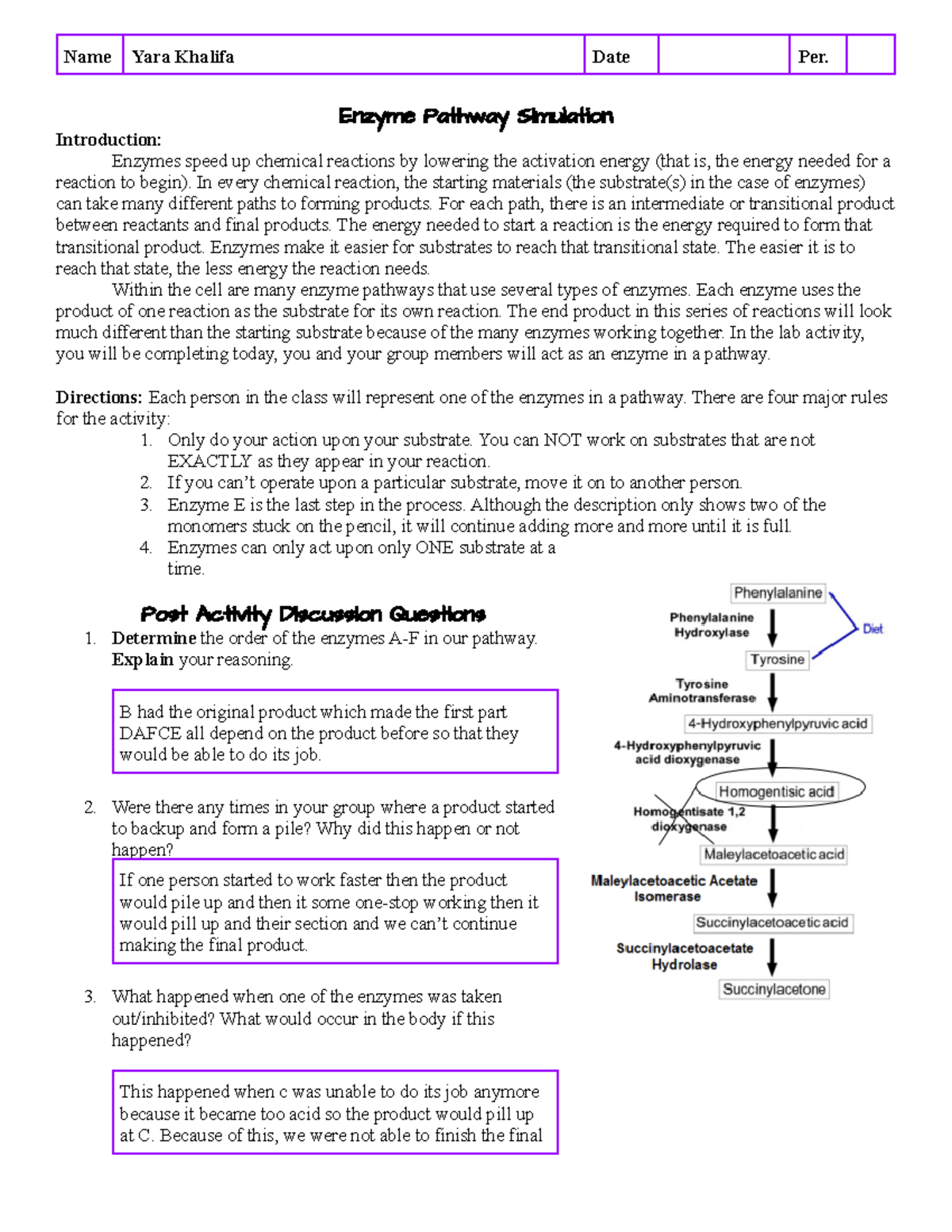 Enzyme Pathway Simulation - Name Yara Khalifa Date Per. Enzyme Pathway ...