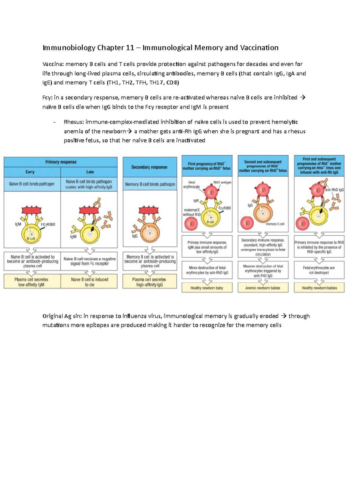 Immunobiology chapter 11 - Immunobiology Chapter 11 – Immunological Memory and Vaccination ...