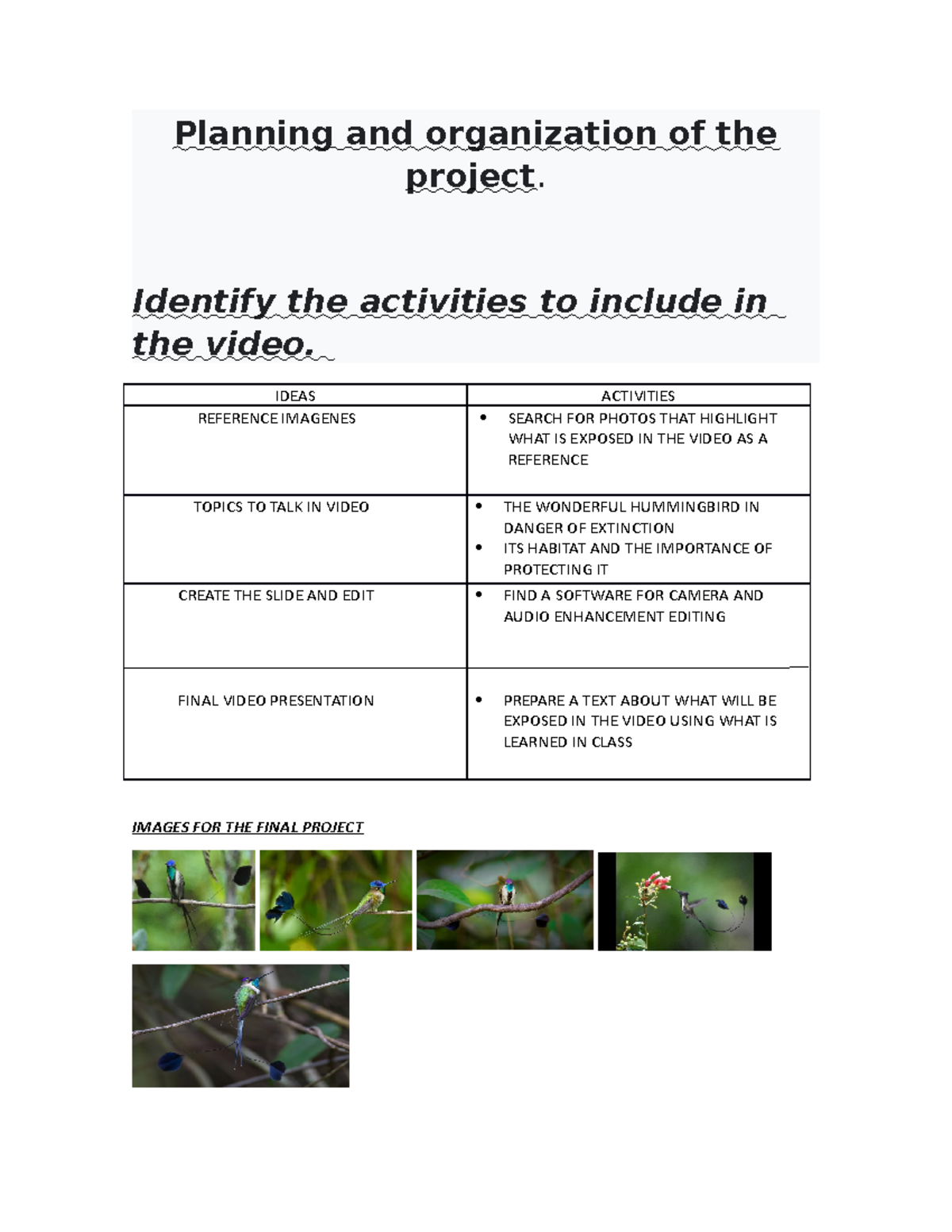 Ideas AND Activities English - Planning and organization of the project ...