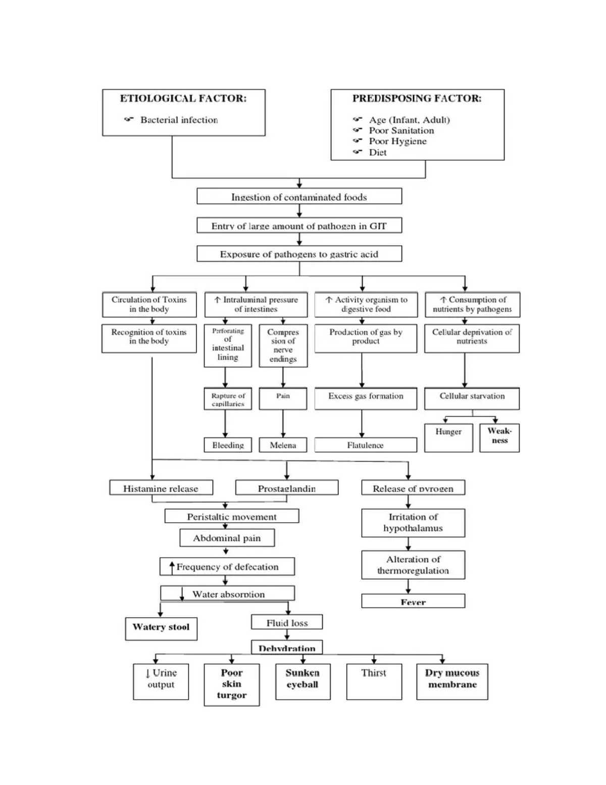 Pathophysiology of AGE - Nursing - Studocu